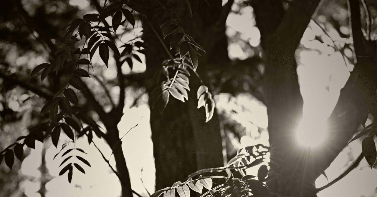 20231105(しんどい時の安らぎについて)｜miebi