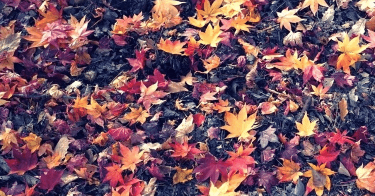 HPEのサーバにProxmoxVEをインストールする｜sistersatori