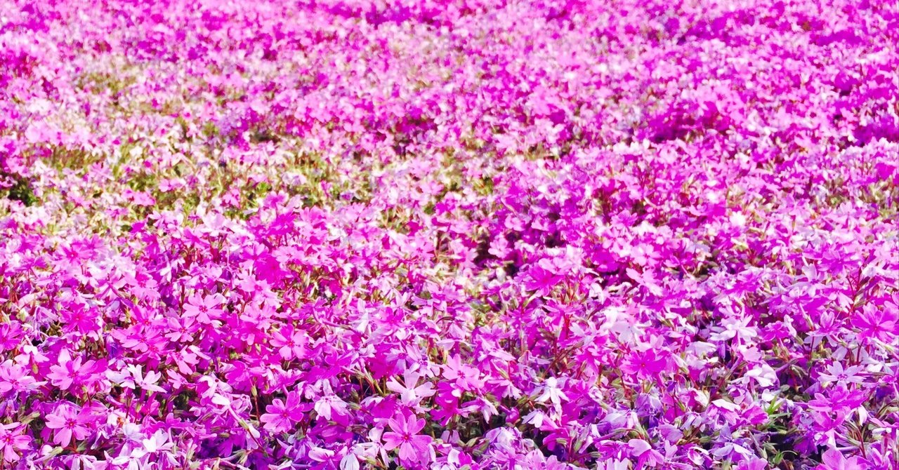 久々にプリクラを撮って感じたこと｜satoko