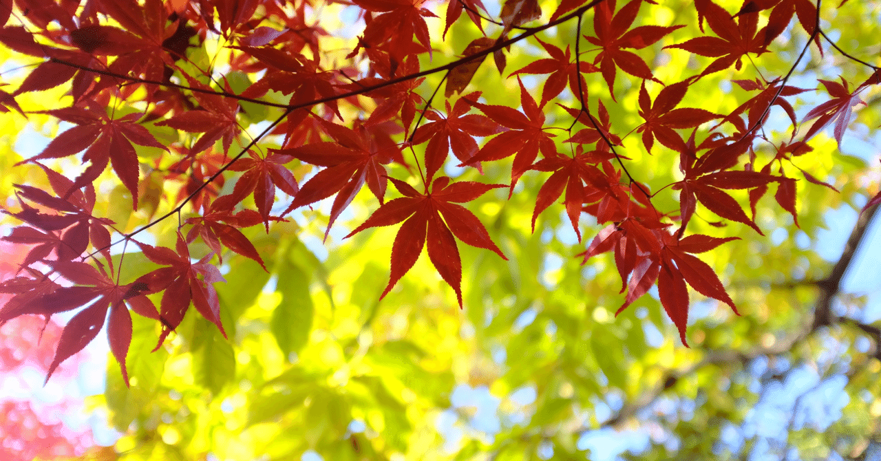 linux 技術動向 Manjaro Linux｜blue06_2022