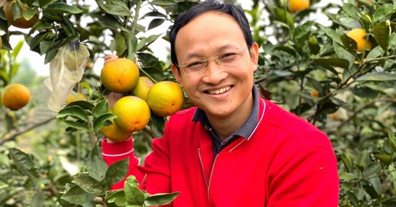 人生の本当の意味は木を植えることです、その木陰の下に座ることは期待できません|hayato Kwasaki