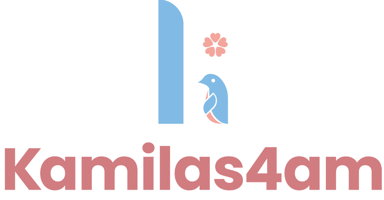 ショート動画のマーケットプレイスを提供するkamilas4am株式会社がプレシードラウンドで5,000万円の資金調達を実施｜STARTUP ...