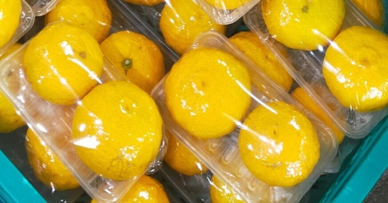 柚子探し 2｜mao_asobi