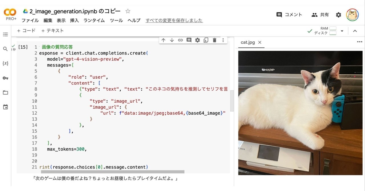Google Colab で OpenAI API の Vision を試す｜npaka