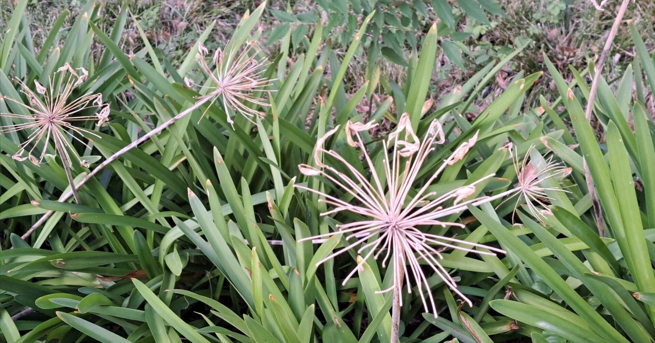 自分を作っているものの見直しタイム｜kitoma