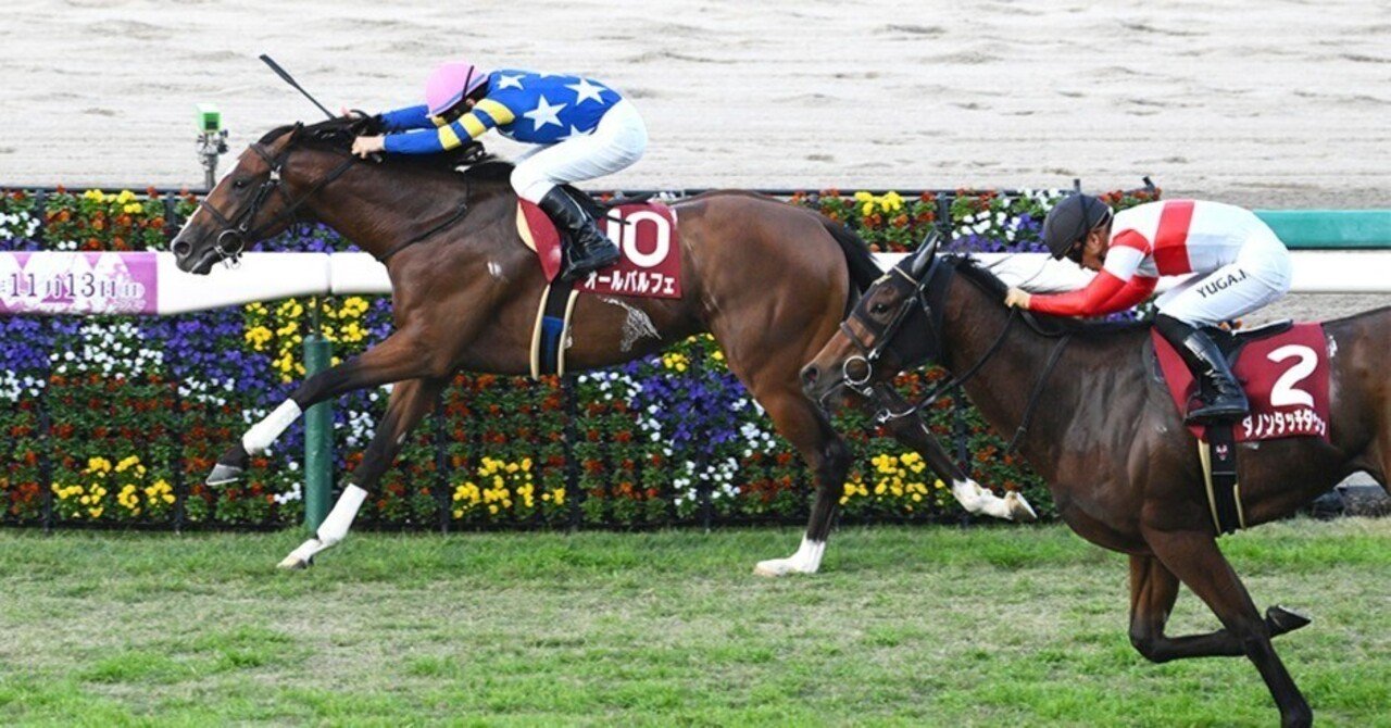 【2023 デイリー杯2歳S（G2）】徹底的に攻略データ篇｜Haya