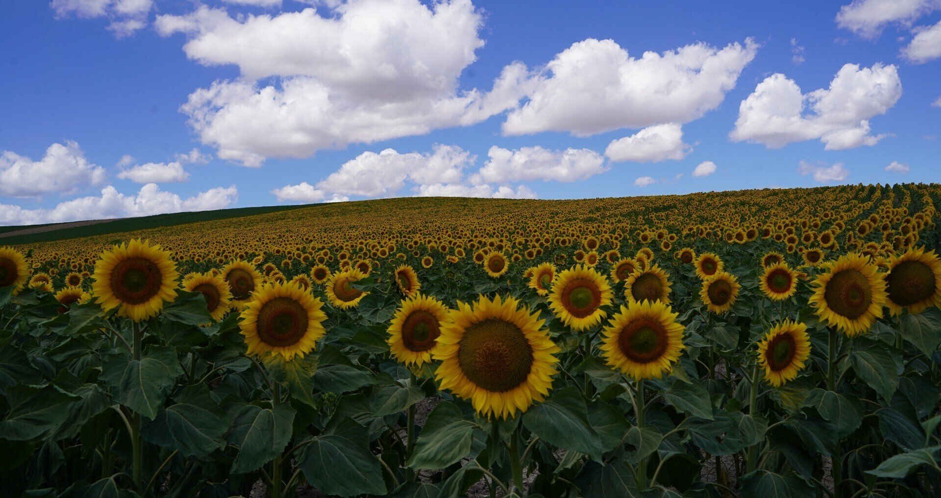 Natsuko Takagi｜note
