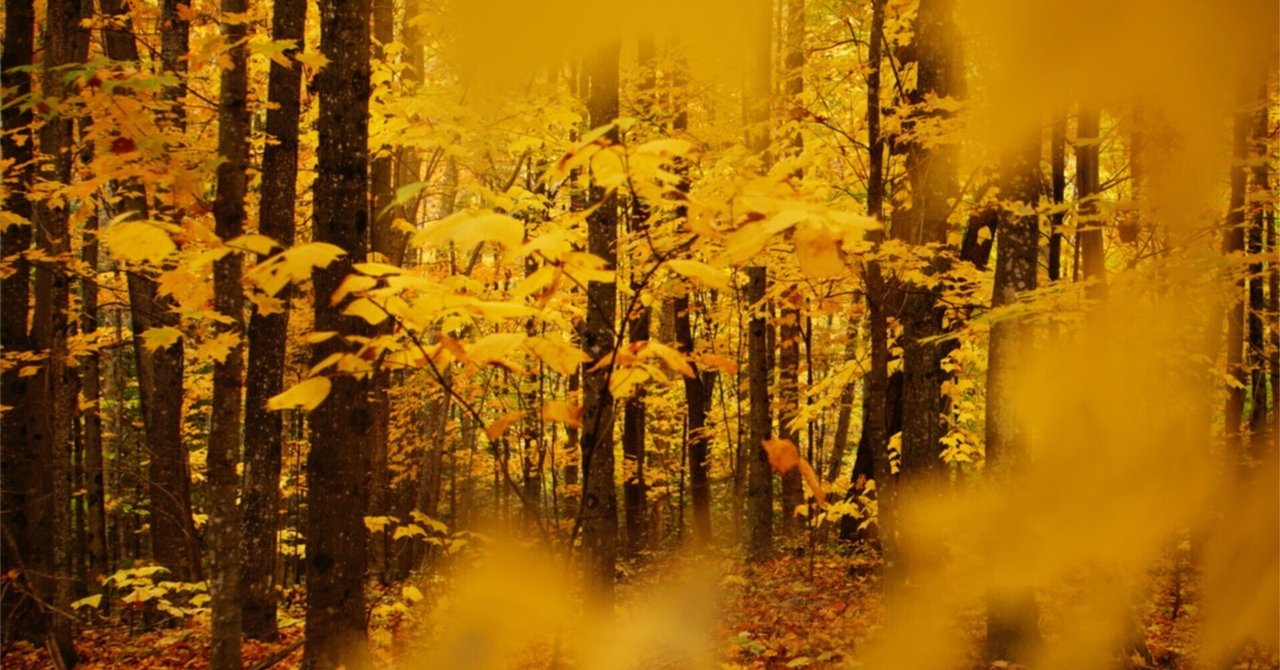 2023/11/08のトレーニング｜発知かや