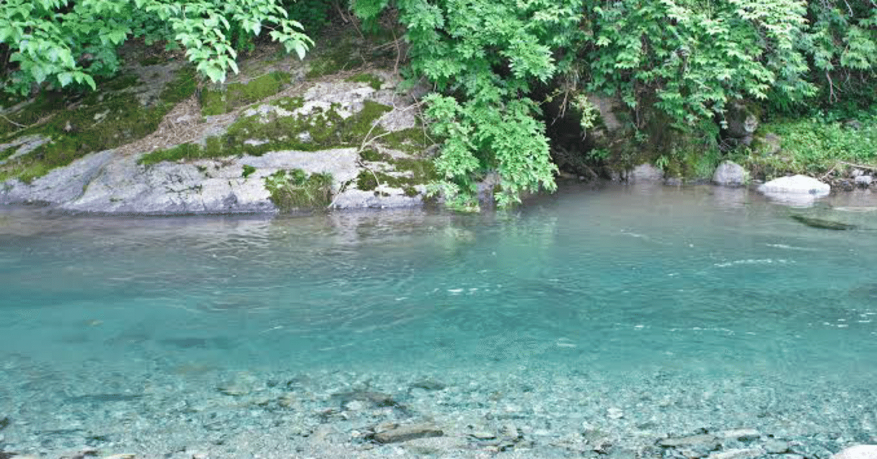 新日常 小説49｜Hecto