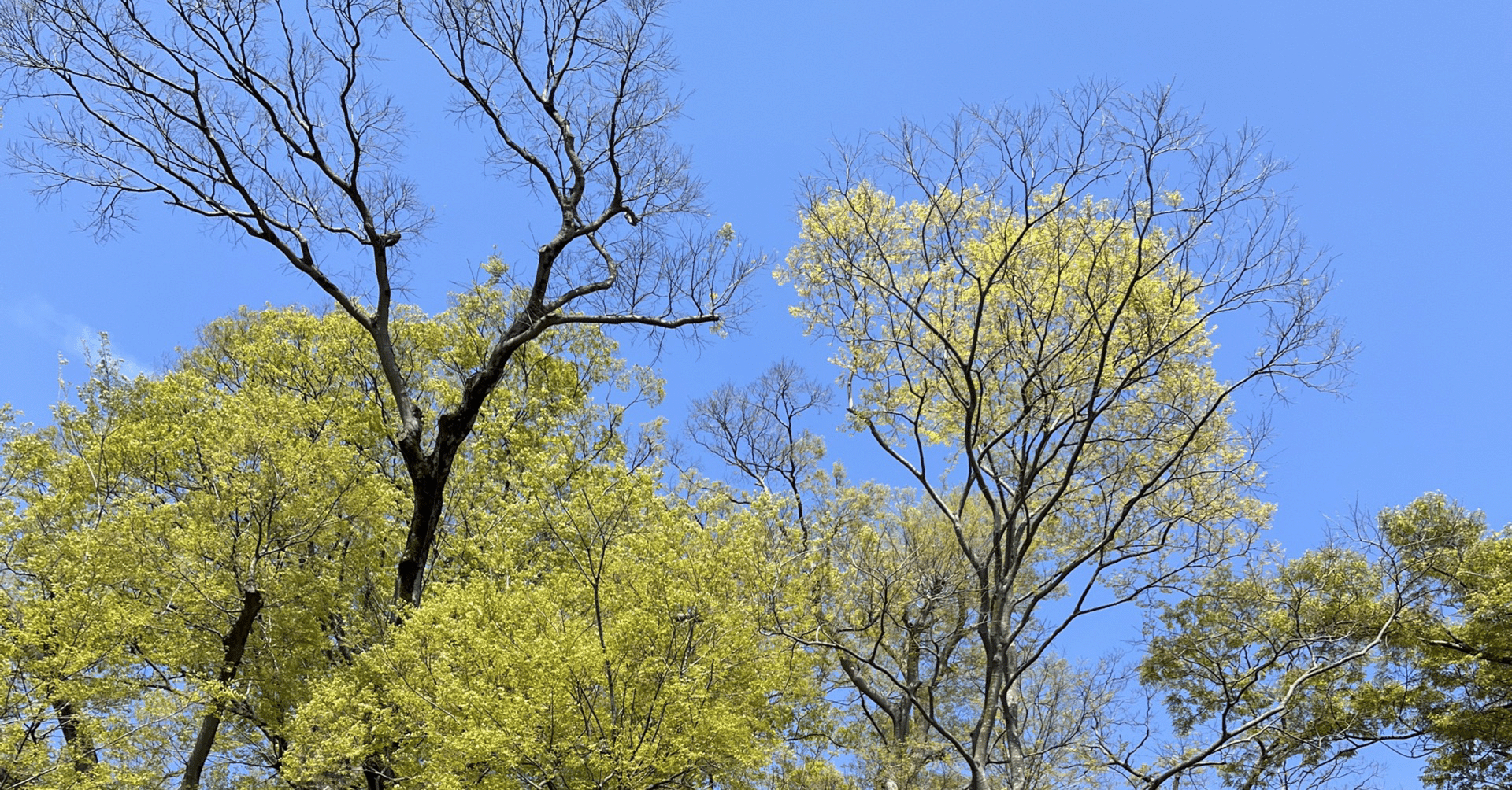 MISATO BEPPU ｜note