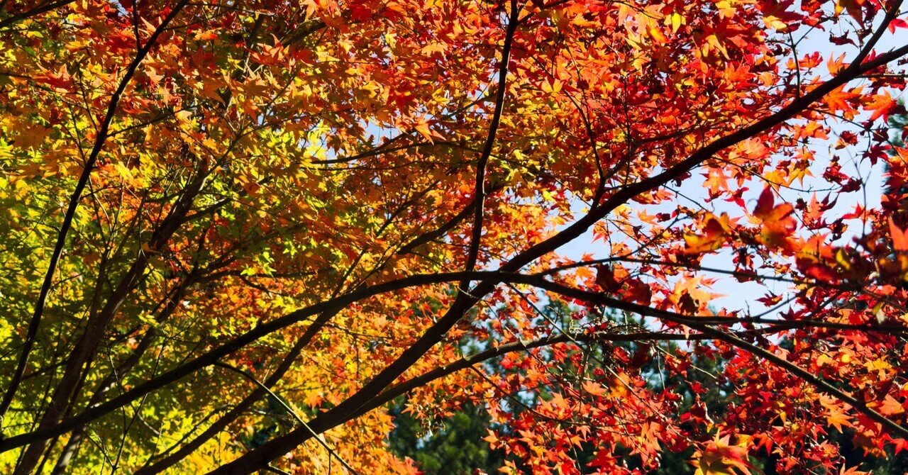 寄り添う｜とっしー／tossy