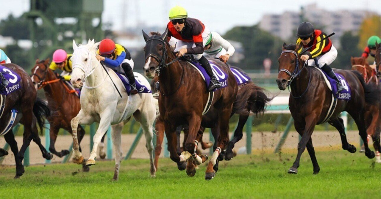 【2023 マイルチャンピオンシップ（g1）】日刊馬番コンピ指数分析予想篇｜haya