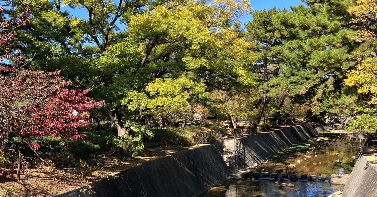 自然と人間、色での補完｜yucco