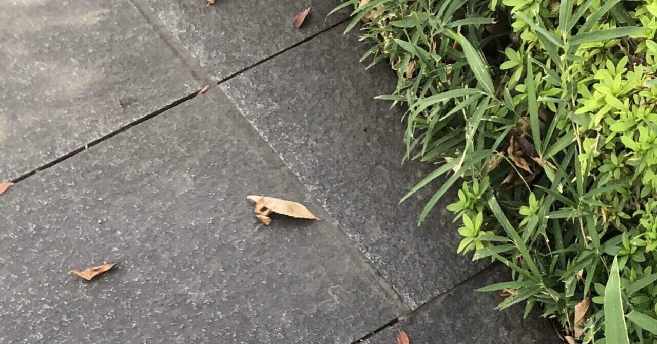 東京、秋の行方。 ｜doremifaso