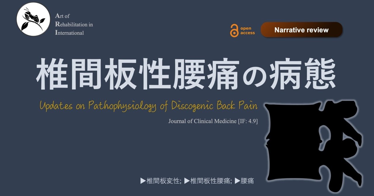 椎間板性腰痛の病態｜super Human 理学療法士／保健学博士 Phd