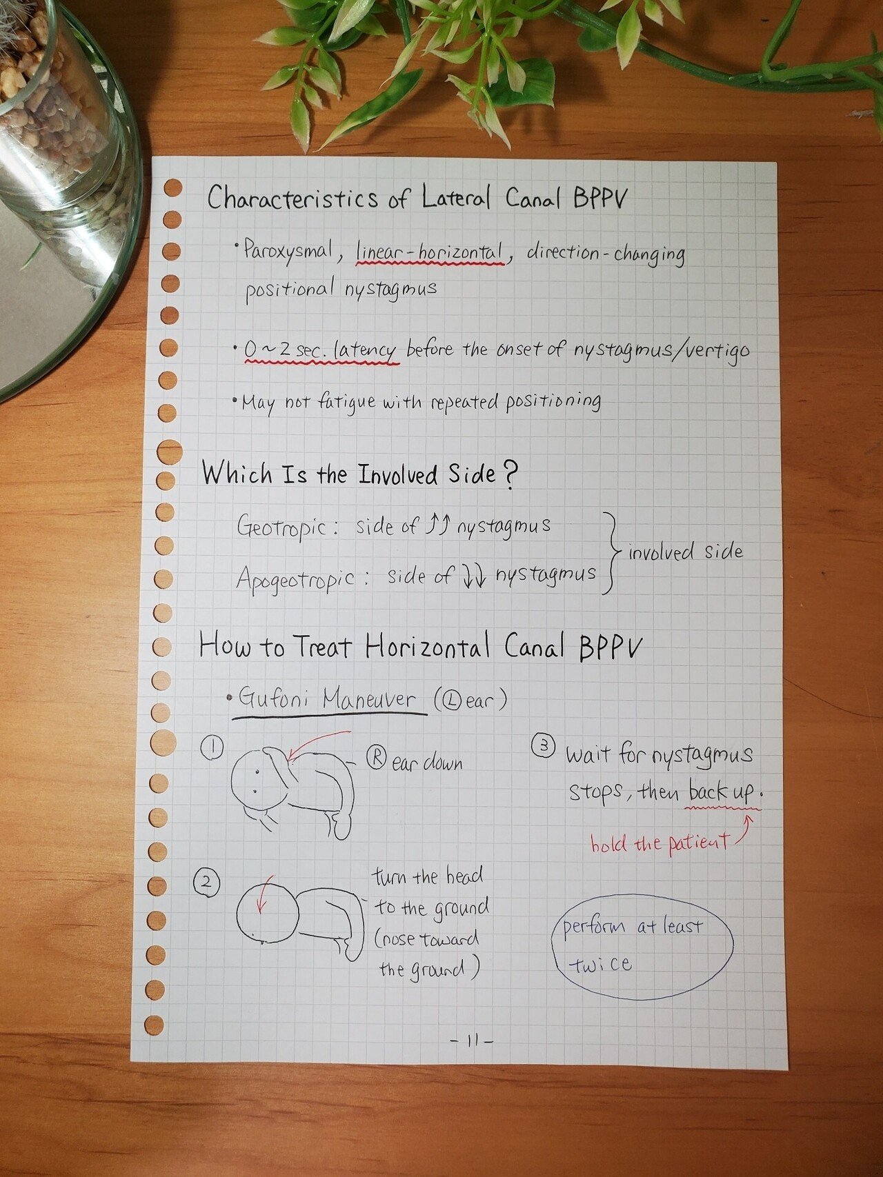 講義ノート: BPPVと脳震盪｜ひるけ