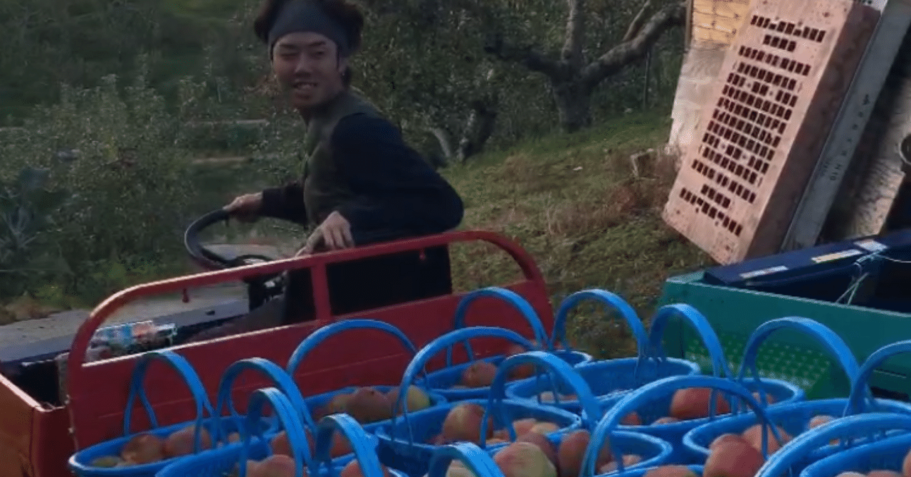 ringomogi｜ryoto_the.boy