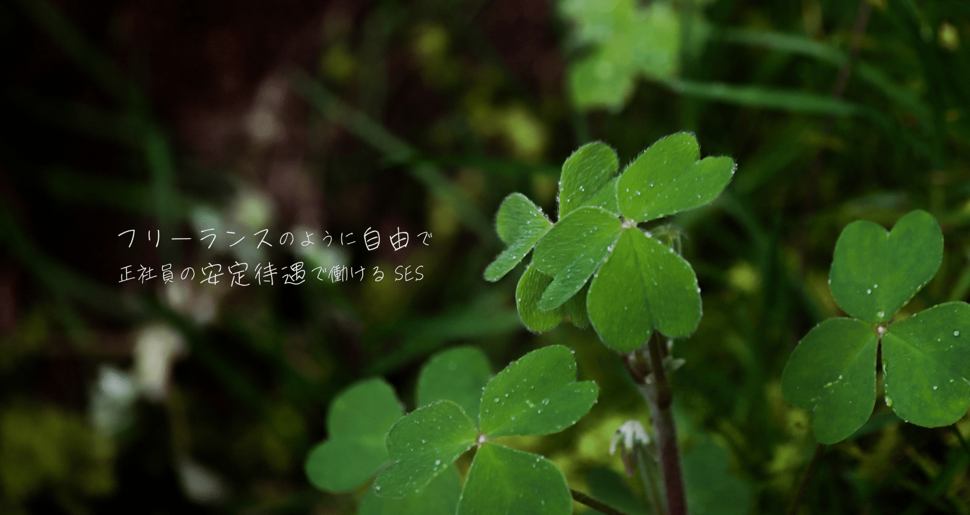 株式会社Euphonauts｜note