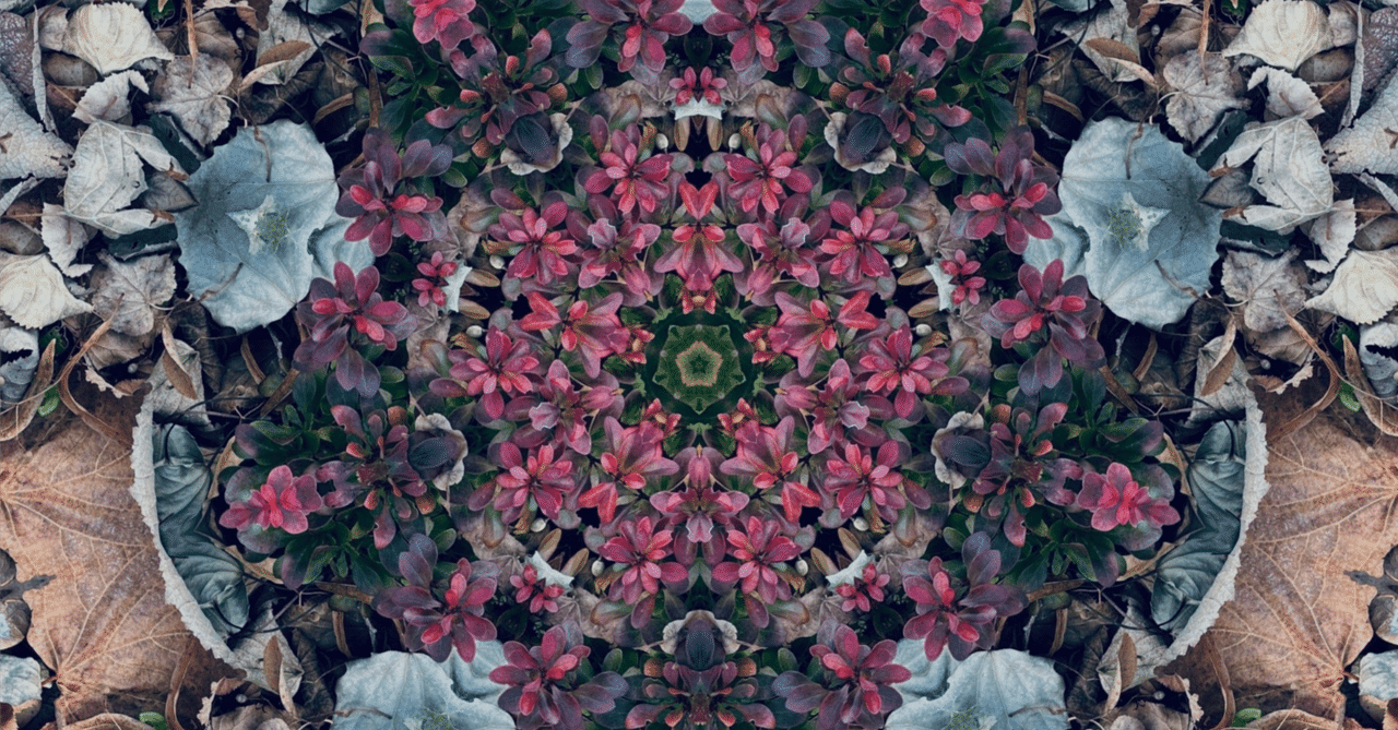 「悪魔くん」がはじまったよ｜neji bit