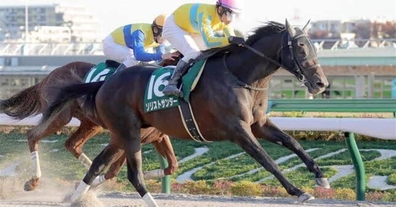 1111 中央競馬東京、京都2会場全レースセット｜mia🎀競馬予想女子🐎💓無料予想公開中