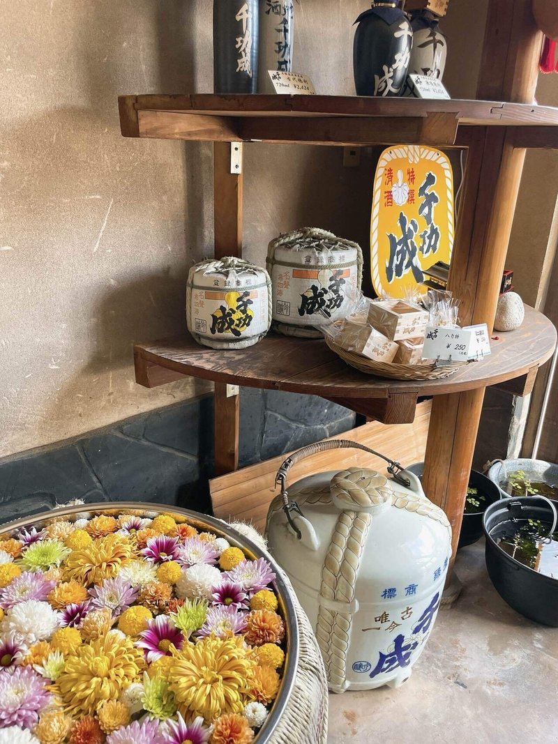 【Day27】フィールドワーク｜K🇲🇼JOCV2023-3