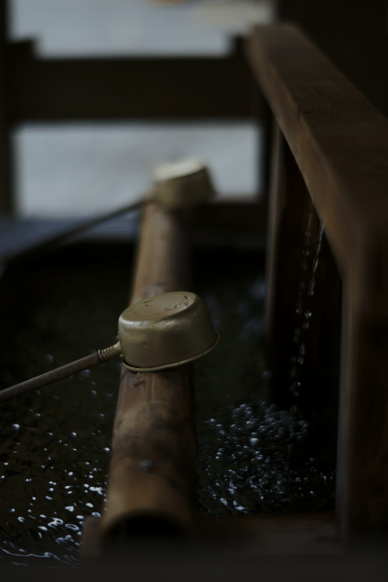 Leica M8 snap｜shirasu camera