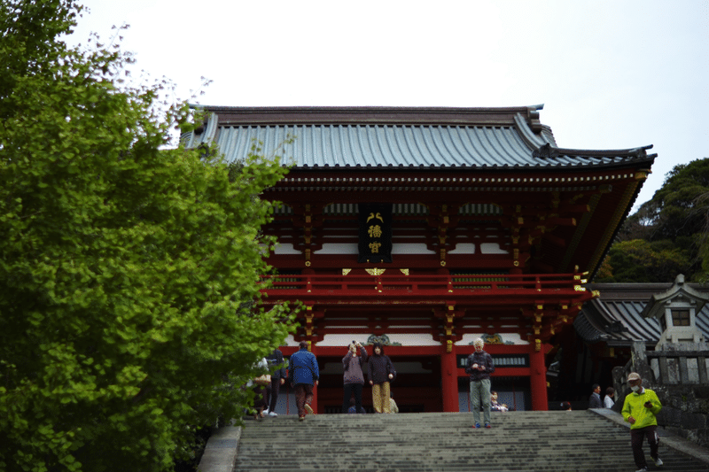 Leica M8 snap｜shirasu camera