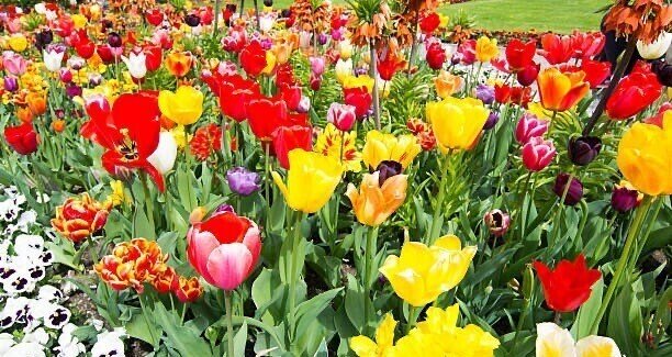 Daisuke Haruki｜note