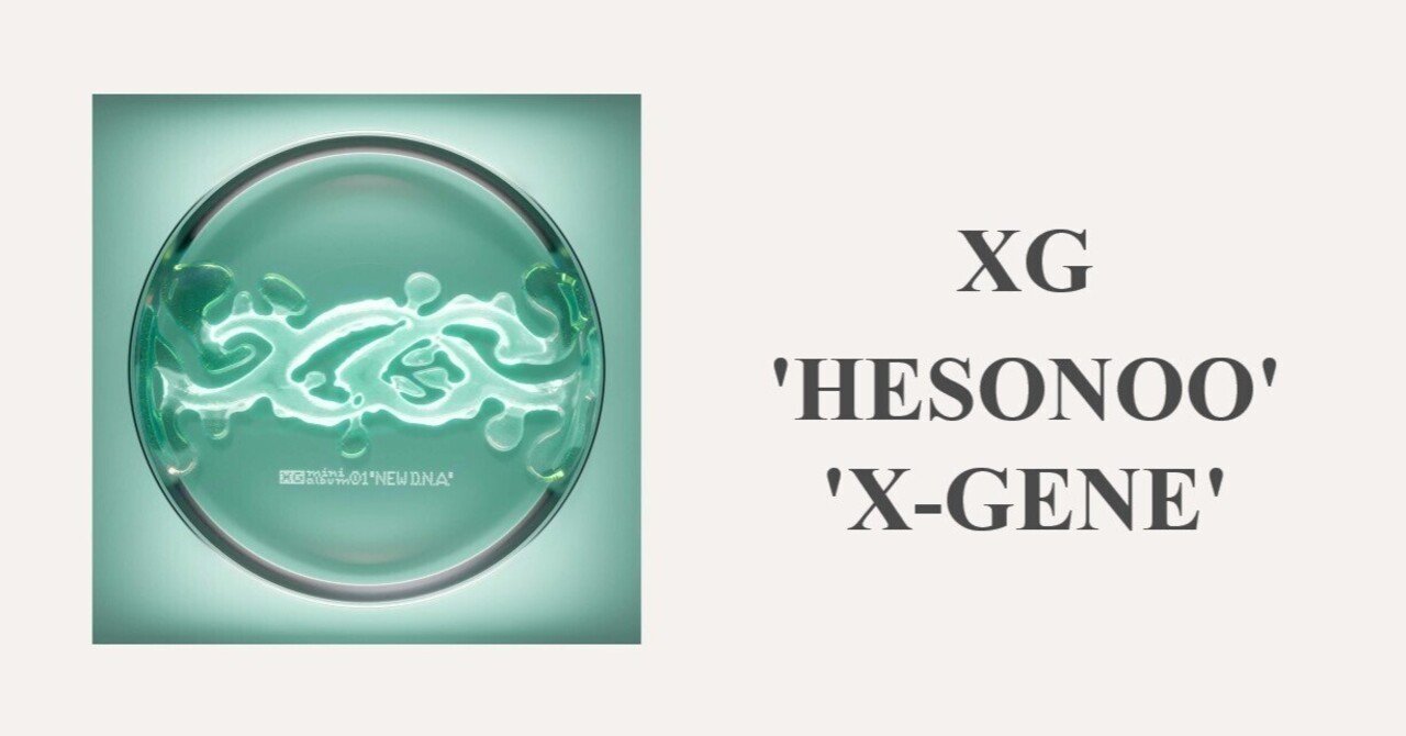 歌詞解説｜XG - HESONOO & X-GENE｜TurneyYang