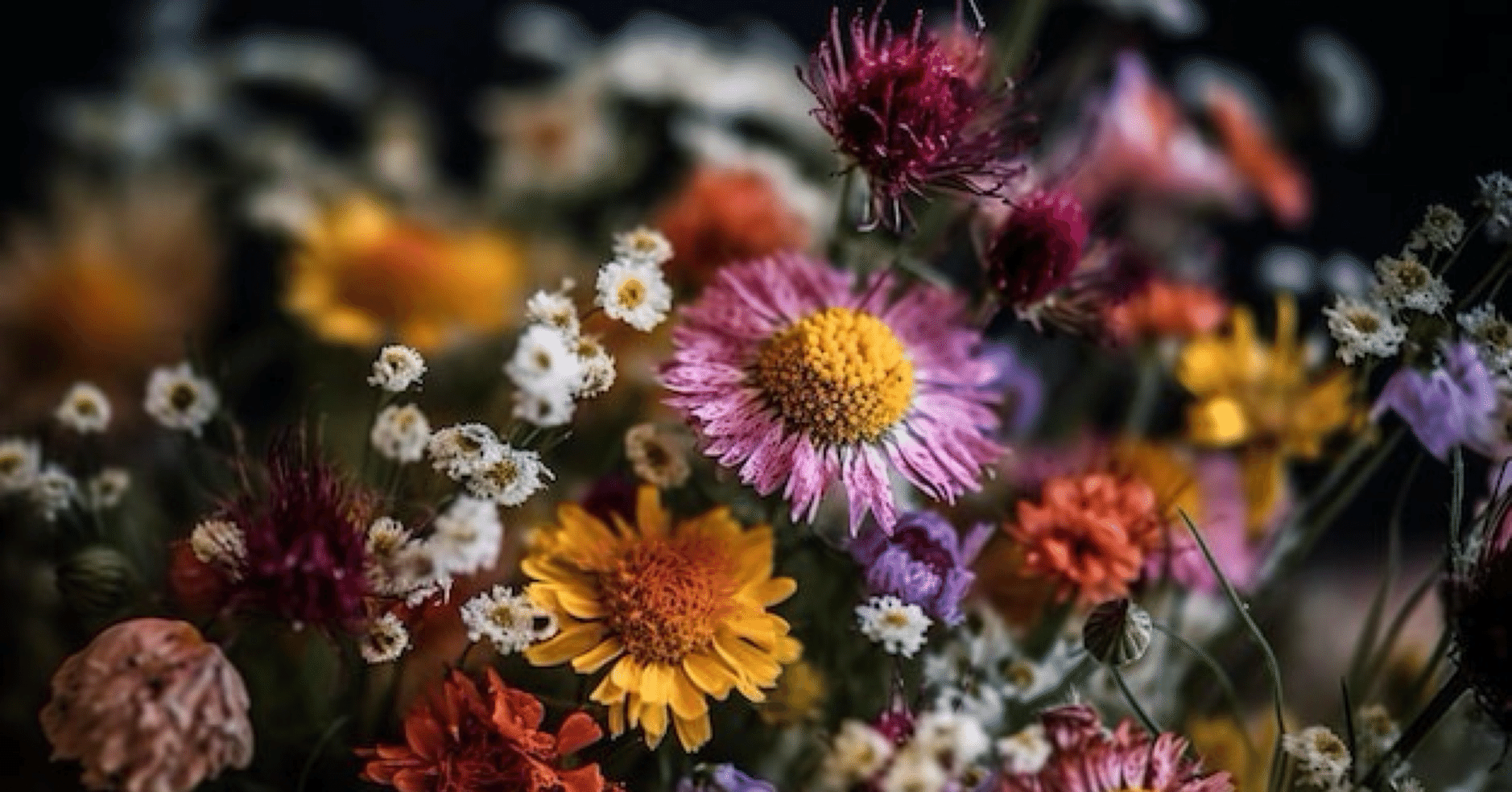 小説｜seiji_arita｜note