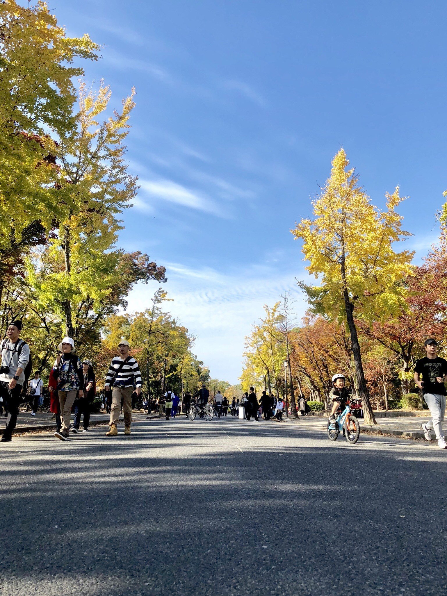 ラララkissy｜note