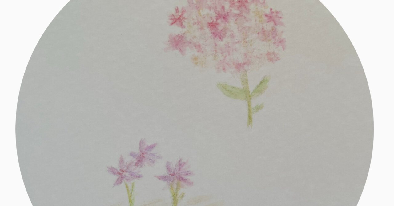 夏空がみれますように｜綾海そら 風のさくら汽車 Ayami Sora