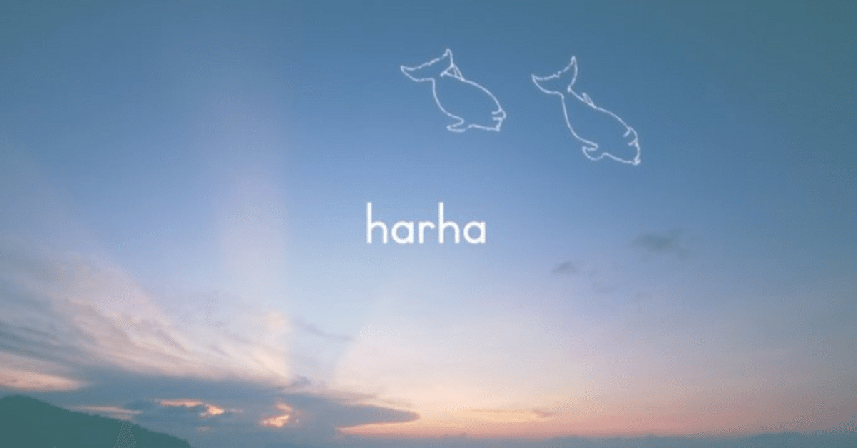 harhaについて語らせて欲しい｜momi