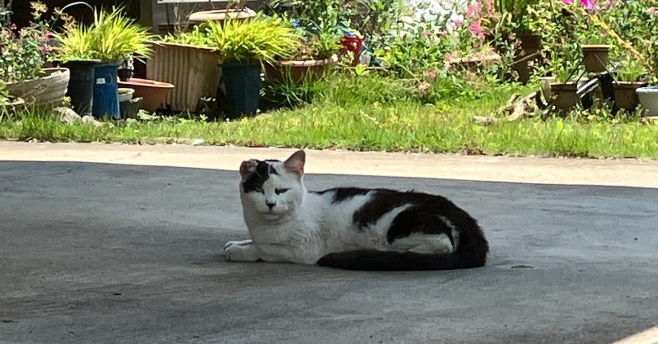 ふと・・・思う｜poporin