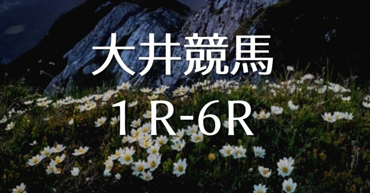 11/14 大井競馬《前編1R〜6R》｜競馬柱