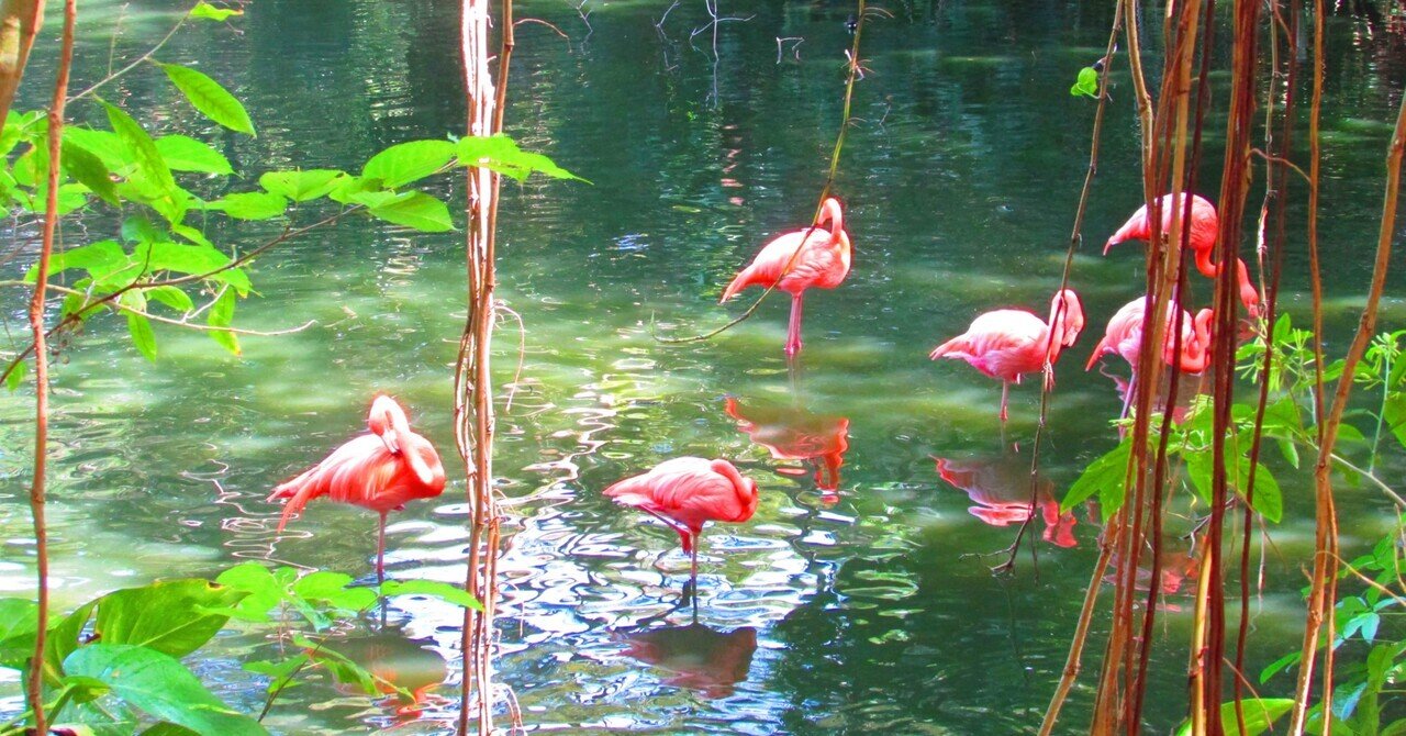 やっぱり。。｜prankish/Tomo