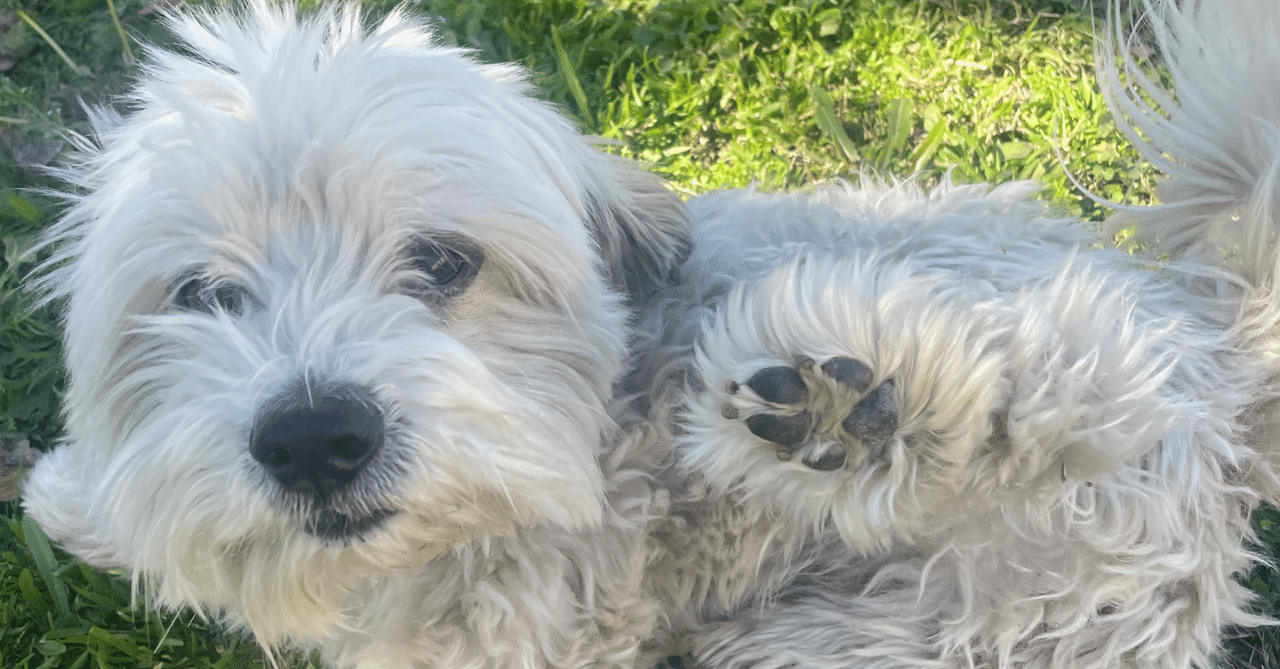 New beginnings ｜Anthony Cano