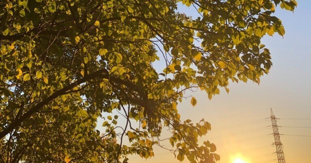 ここにも”関係性”。｜志乃田たぐる[Taguru Shinoda]