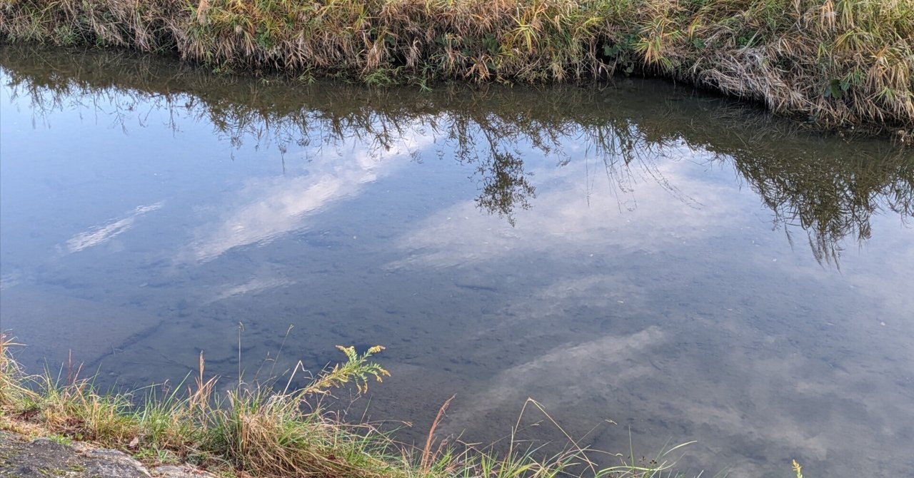 2巻92番〜作者 鏡王女｜ichiro70