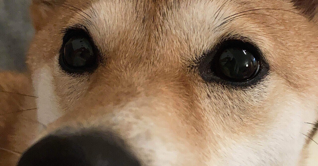 生誕9ヶ月｜723nk