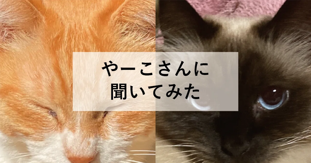A huge hit on X and note! Was Yaako, who makes about 120,000 people ...