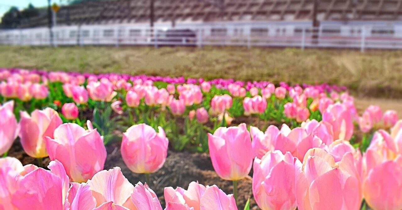 自己肯定感｜ShimoU