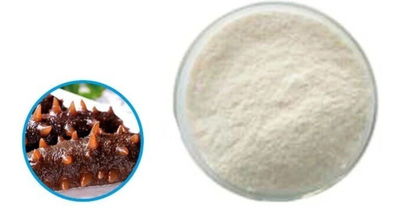 Sea Cucumber Peptide|bigtreepeptide