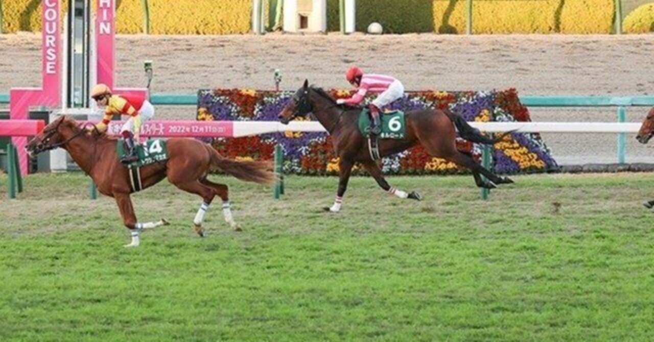 【2023 京阪杯（g3）】日刊馬番コンピ指数分析予想篇｜haya