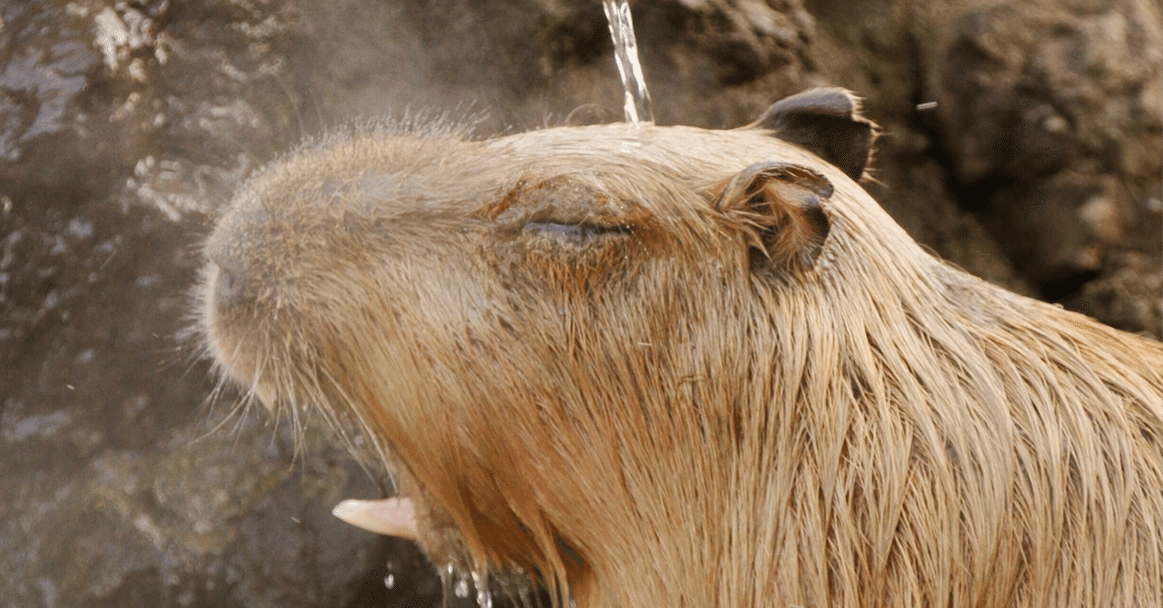 Nous-CapybaraをMacのOllamaで動かしてみる -拙い覚え書き-｜Lucas