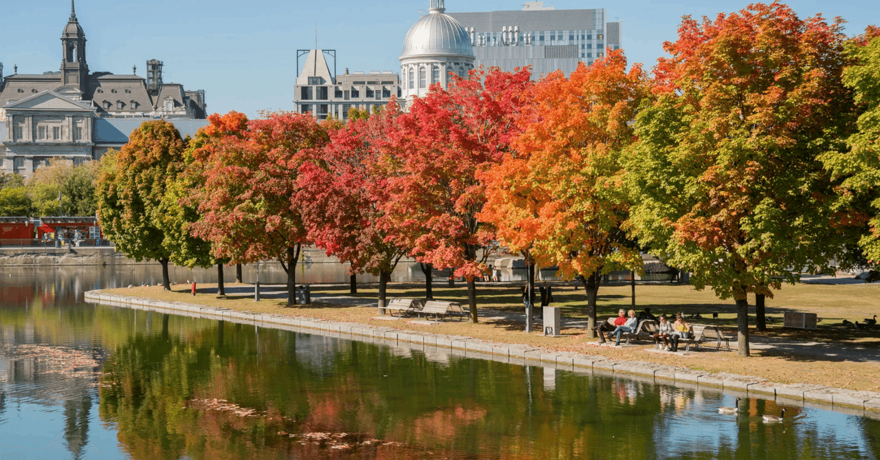 IAF-ILAC合同年次総会に参加して（その1）｜yamauchi_toru