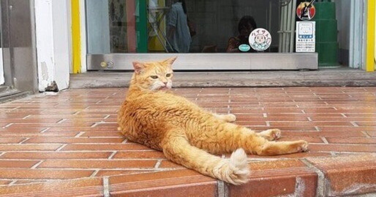 「子どもを持つのが怖い」くらいが健全【真崎→ヨコ】｜真崎 @masaki_desuyo_