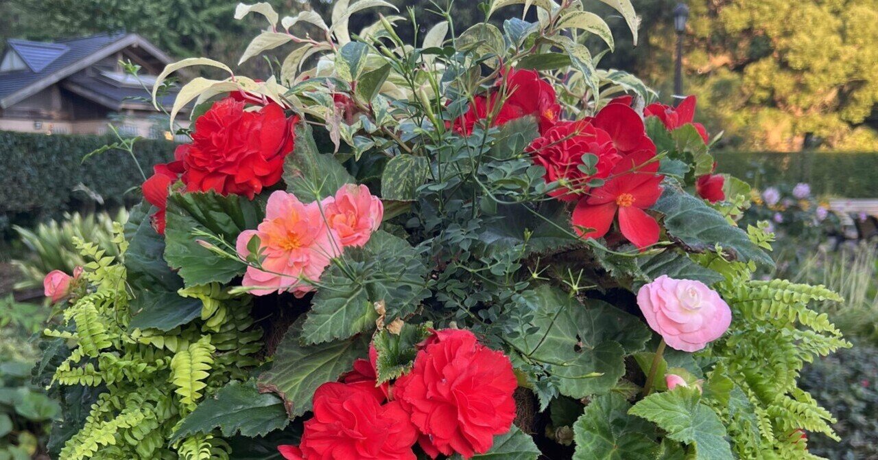 イノベーションは誰のため ｜daishiro_okada