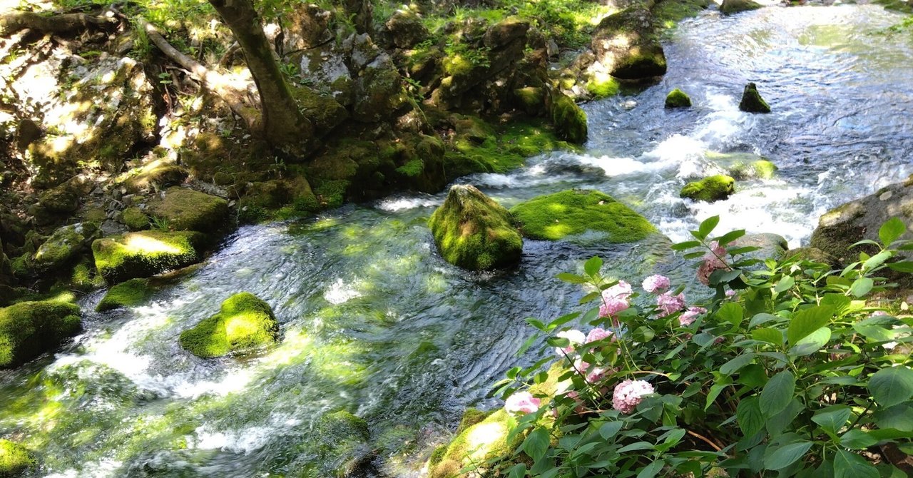 【TOSHI・手話で案内】龍泉洞｜YUMI（若松弓子）