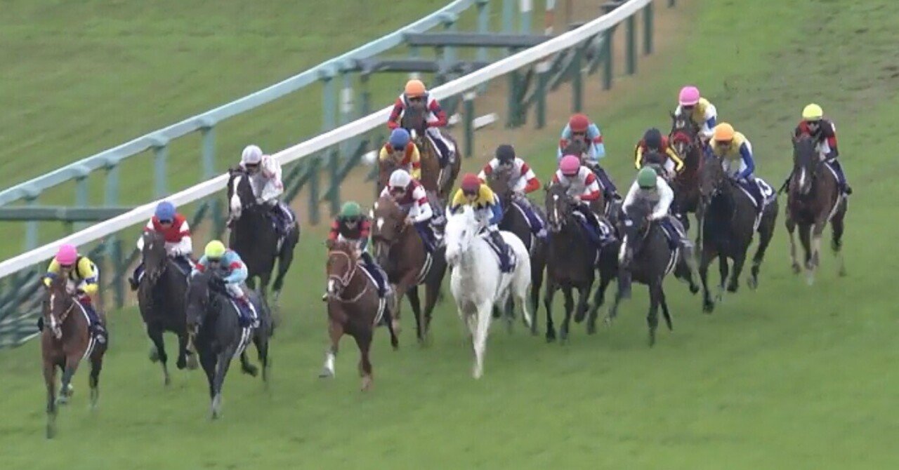 11/19京都11RマイルCS(G1)事前予想&パドック後予想｜馬人all the people